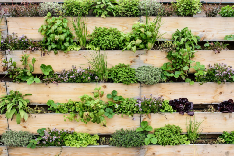 Common Green Wall Maintenance Mistakes and How to Avoid Them - Vibrant ...