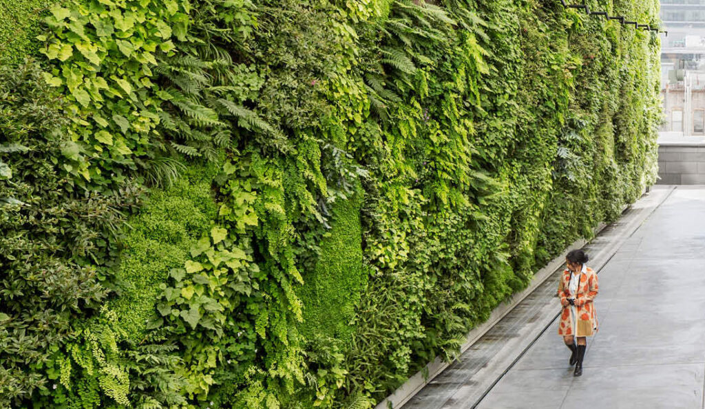 Transforming Urban Spaces: The Rise of the Vertical Green Wall System ...