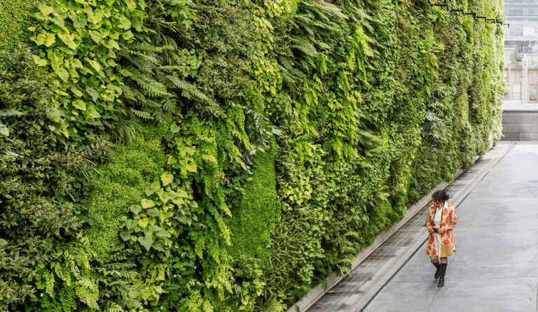 Transforming Urban Spaces: The Rise of the Vertical Green Wall System ...